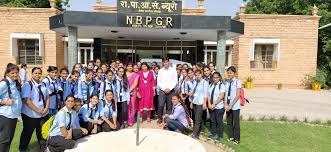 Mahila PG Mahavidyalaya [MPGM], Jodhpur: Courses, Fees, Placements